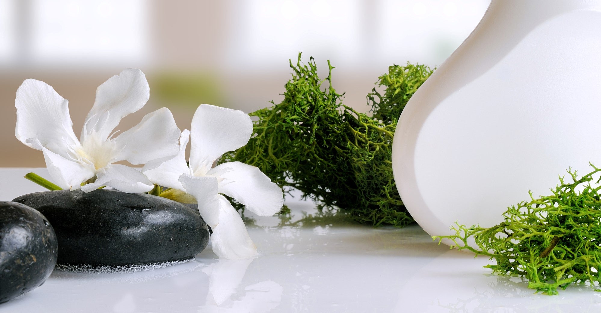 Skincare Products with Algae | Shop By Ingredient