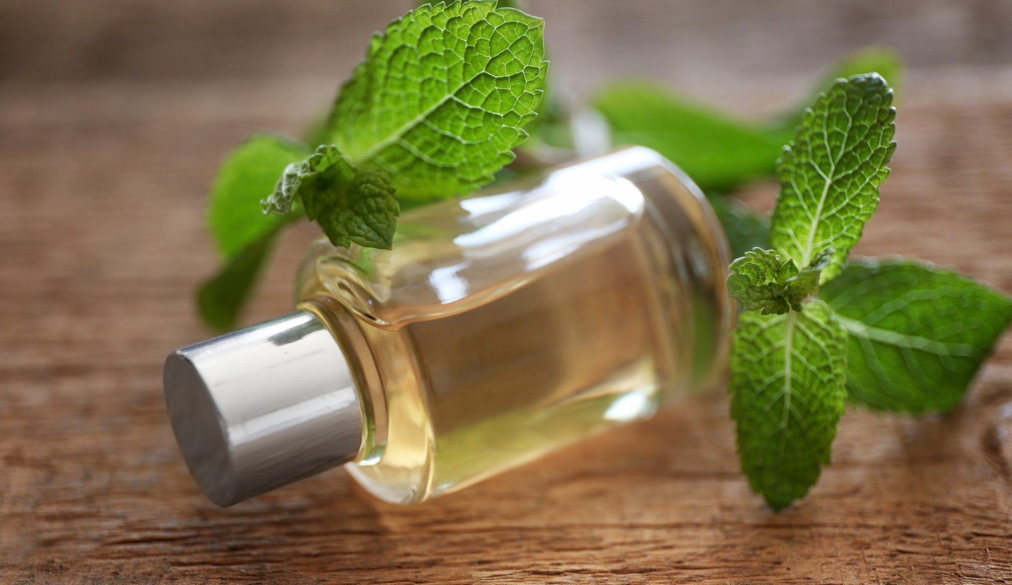 Peppermint for Skin | Shop By Ingredient | USA